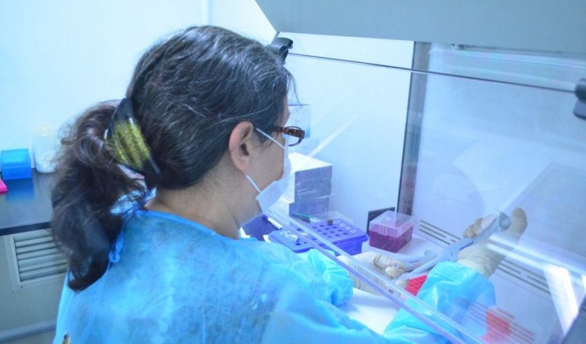 Detectan aquí primer caso sospechoso de hepatitis aguda - Daisy Herrera Detectan aquí primer caso sospechoso de hepatitis aguda - Daisy Herrera