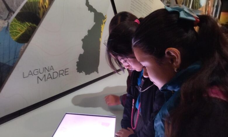 De Mariposas y Mahuiras al TaMux - Daisy Herrera